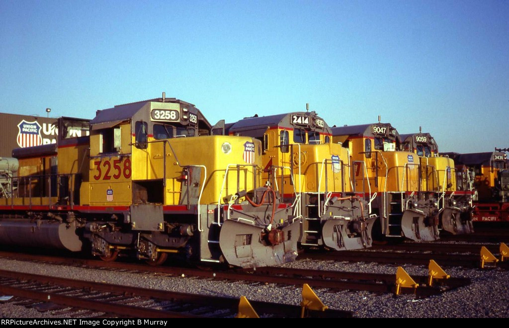 Nice morning light for a greeting